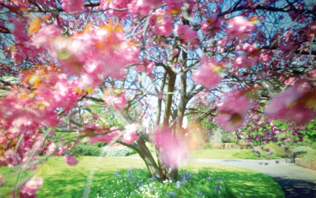 Why I wept at springâ?Ts arrival