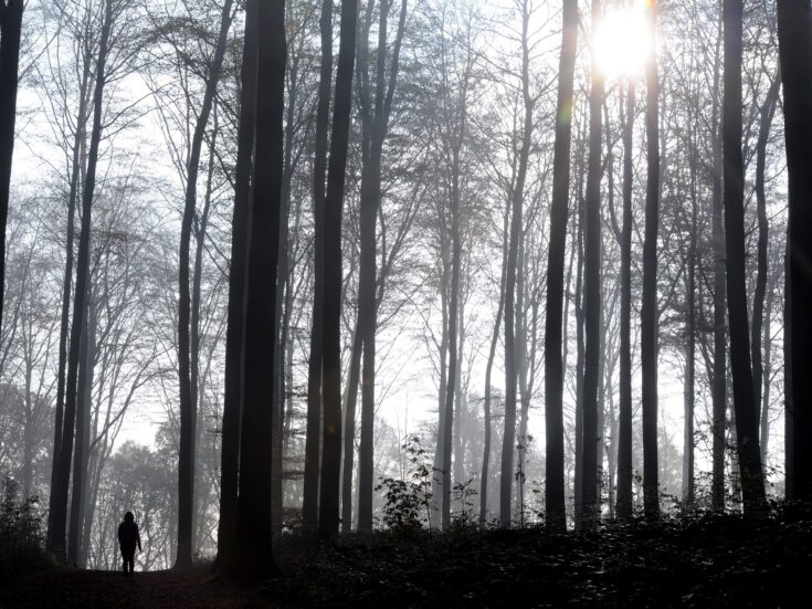 The importance of being lonely