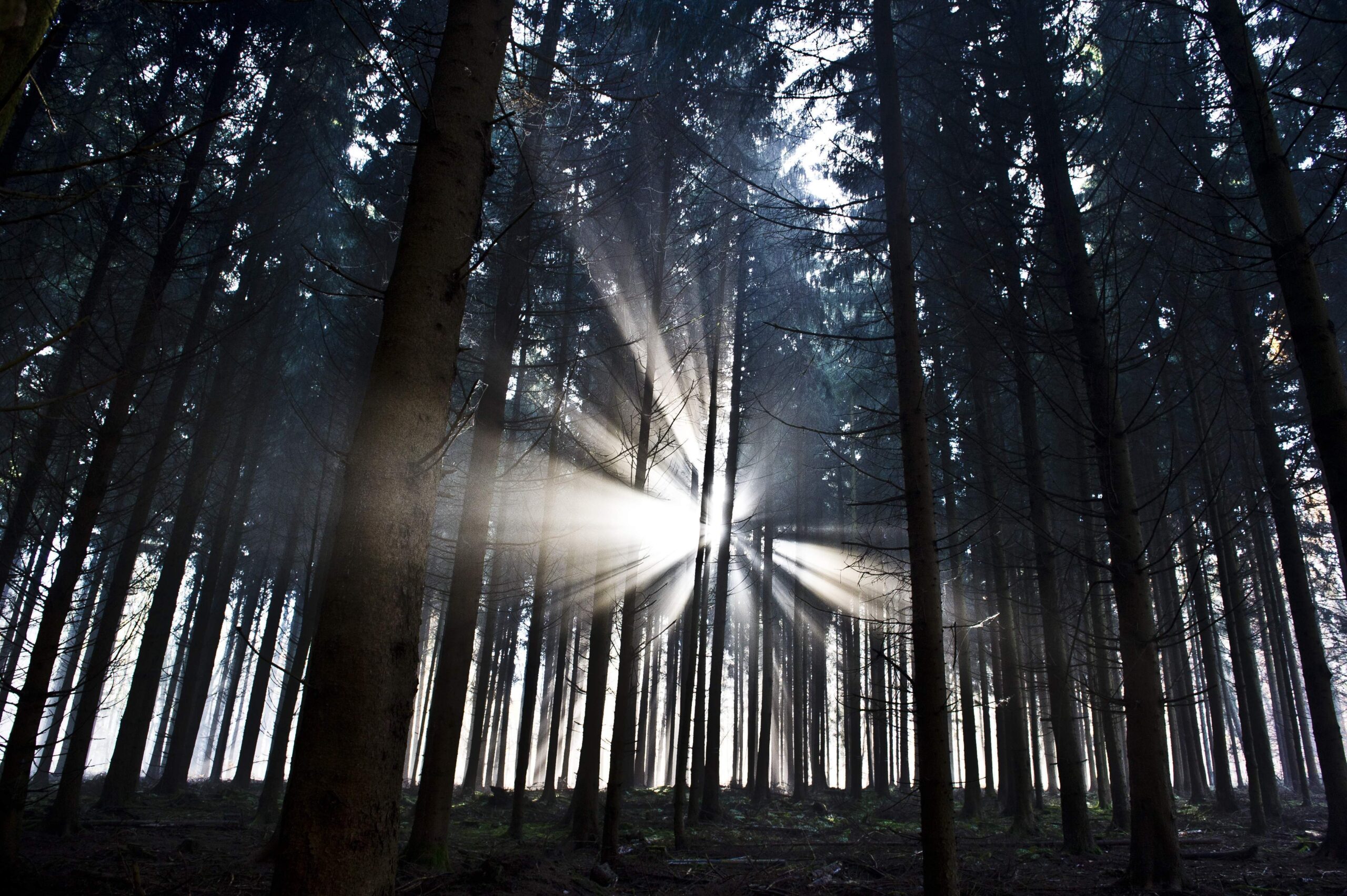 Is it possible to live a modern contemplative life?