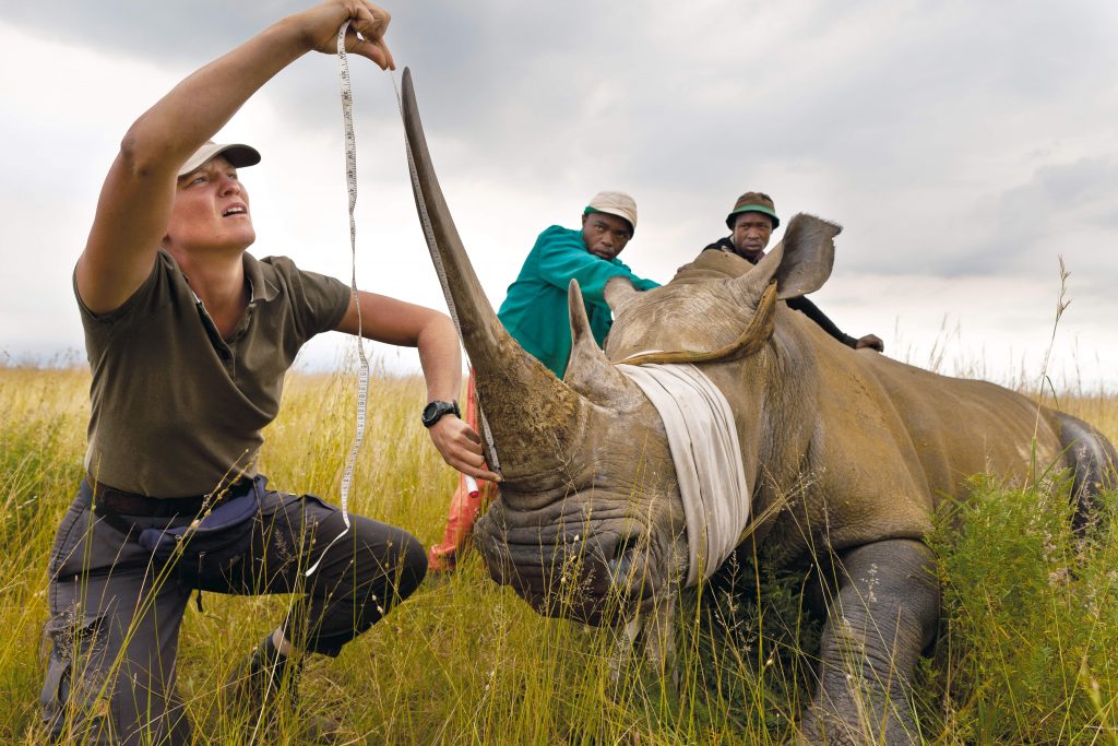 The war on poaching
