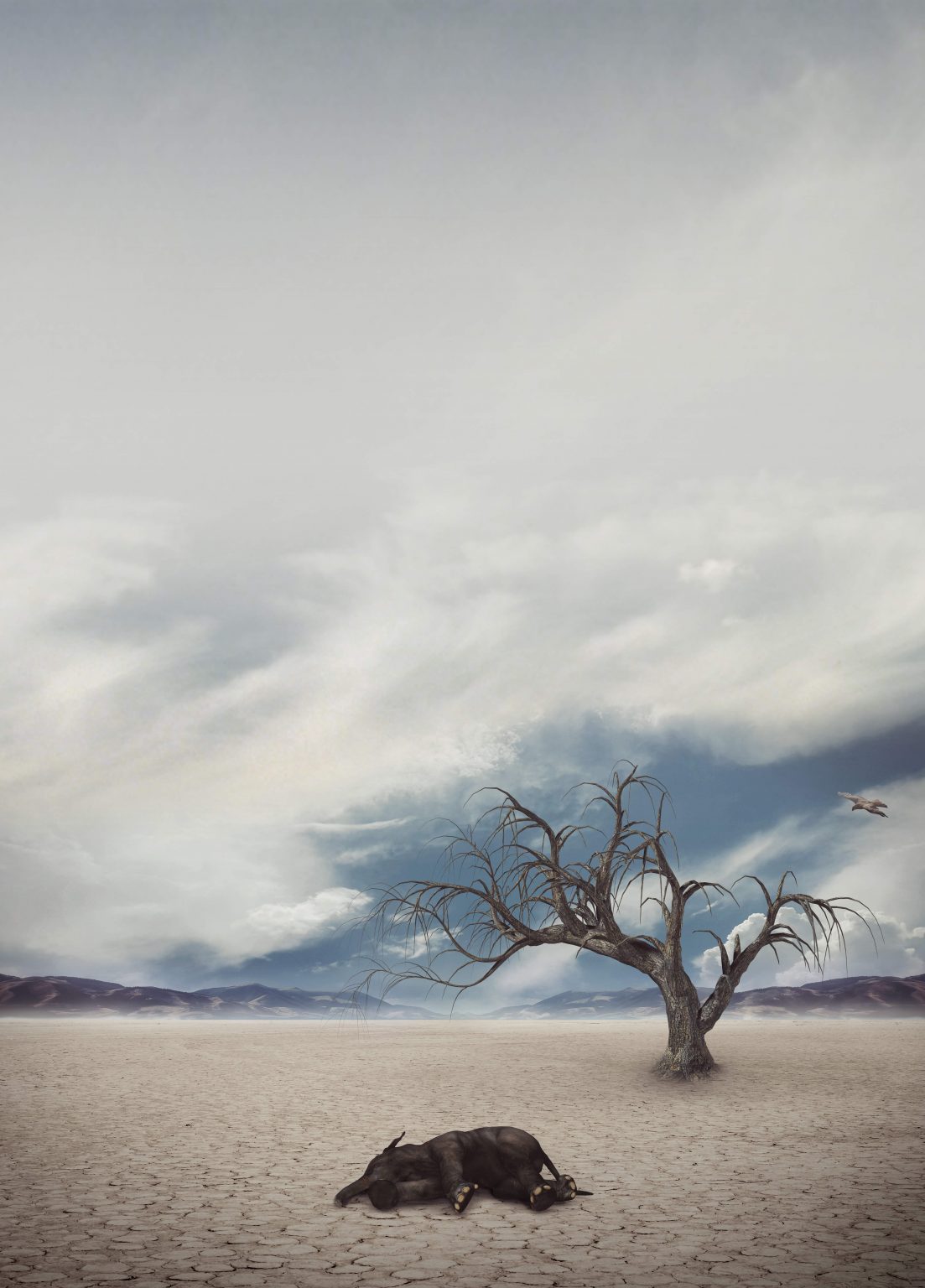 We are heading towards a world without animals