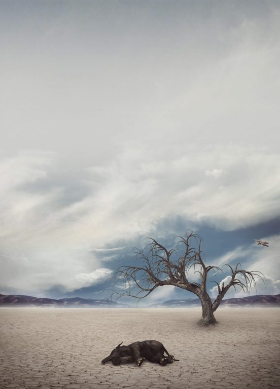 We are heading towards a world without animals