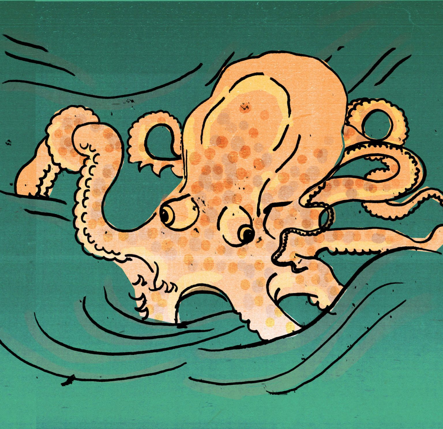 The irresistible rise of the octopus, the closest creature to an ...