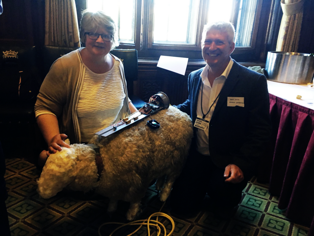 Are robotic sheep the future of British farming?