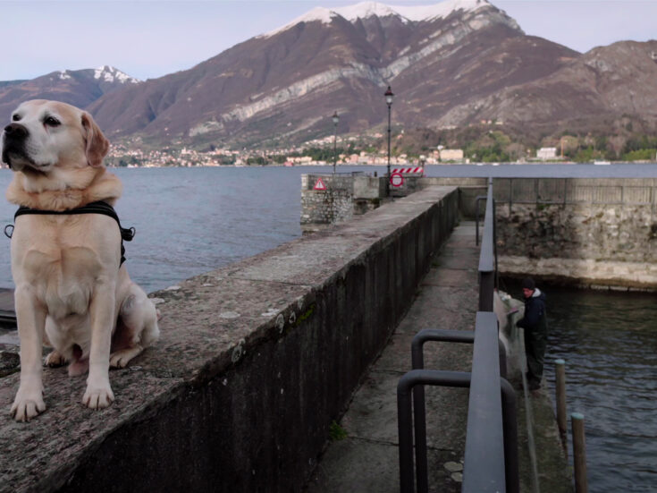 Netflixâ?Ts documentary series Dogs is a surprisingly human portrait of ...