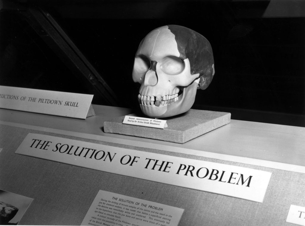 The disturbing junk science of craniometry is enjoying a resurgence