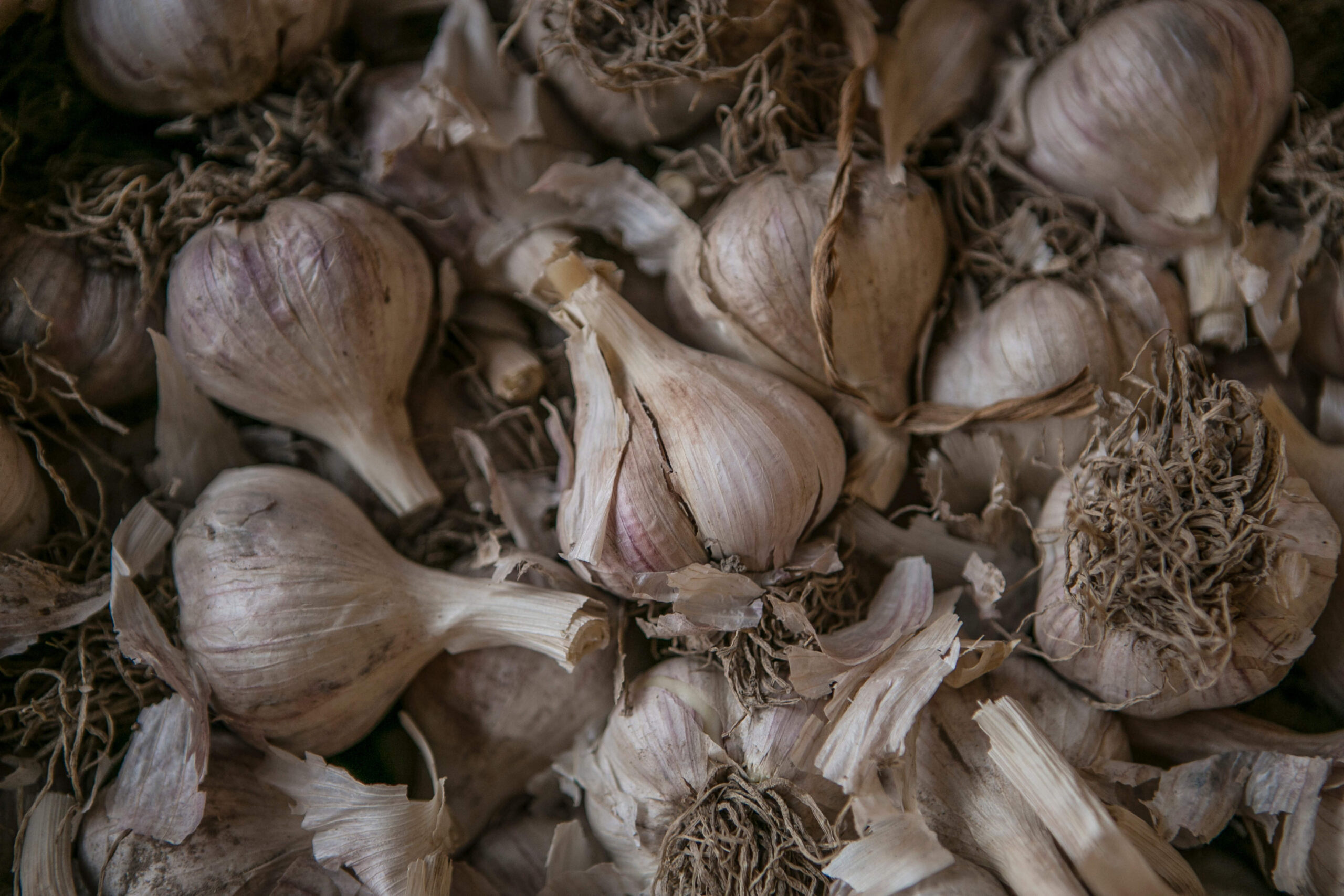 Why a bulb of garlic spells trouble for the United Kingdomâ?Ts trade policy