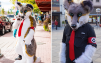 The Furred Reich: The truth about Nazi furries and the alt-right