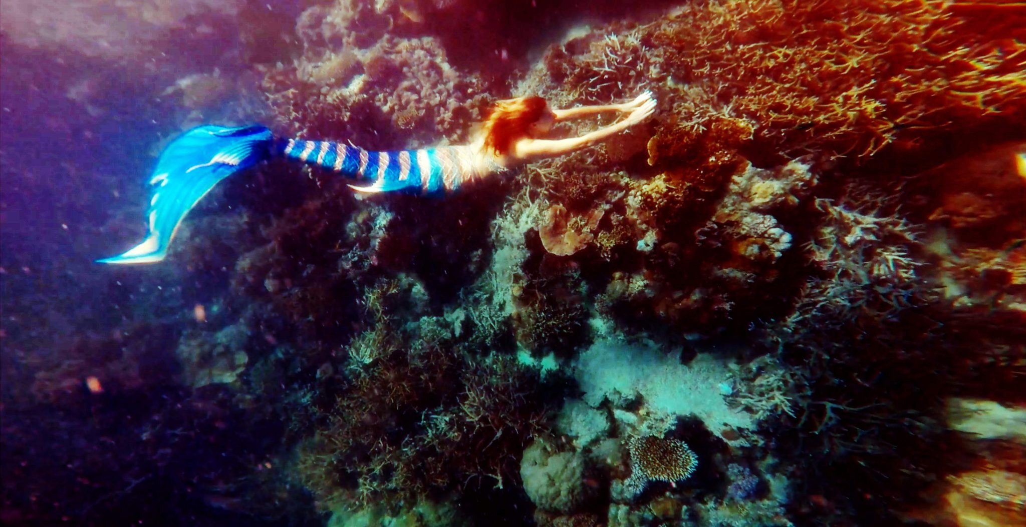 Meet the mermaids trying to defend the coral reefs from climate change