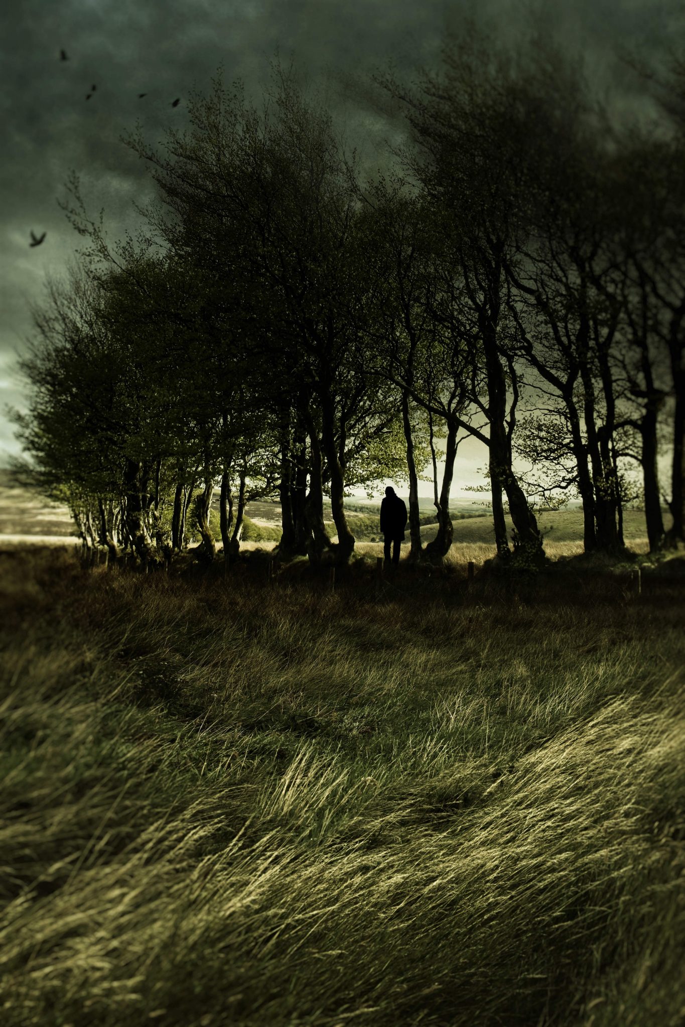 Death of the naturalist: why is the â?onew nature writingâ?? so tame?