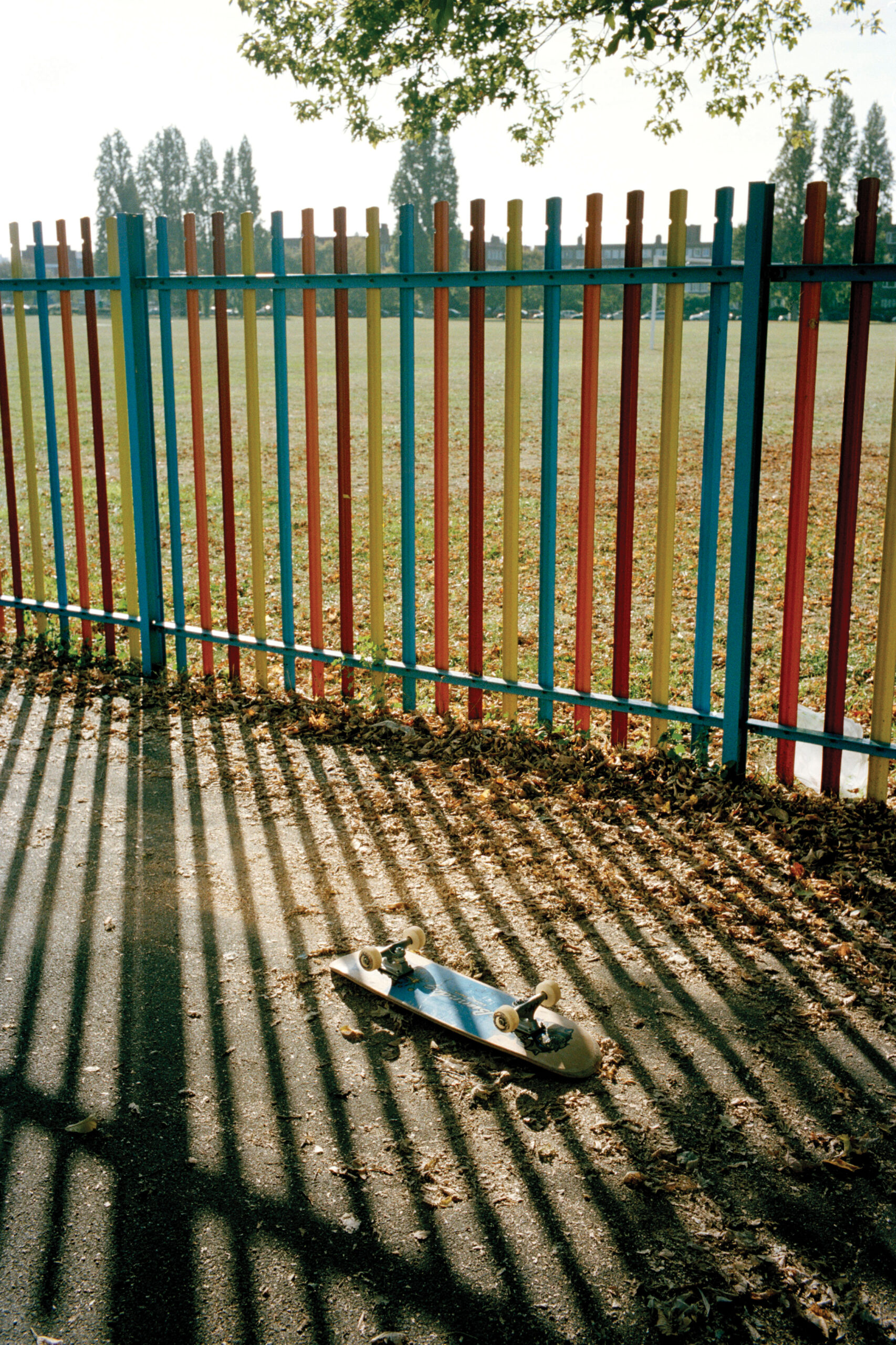 Personal story: One fall, and a whole new world - New Statesman