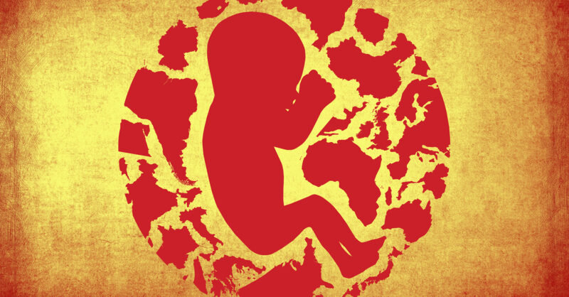 Rachel Cunliffe's Diary: Ecology vs fertility, the Met’s empathy ...