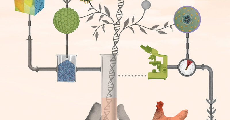 We invented the cow 10,000 years ago. Lab-grown meat is just the next ...