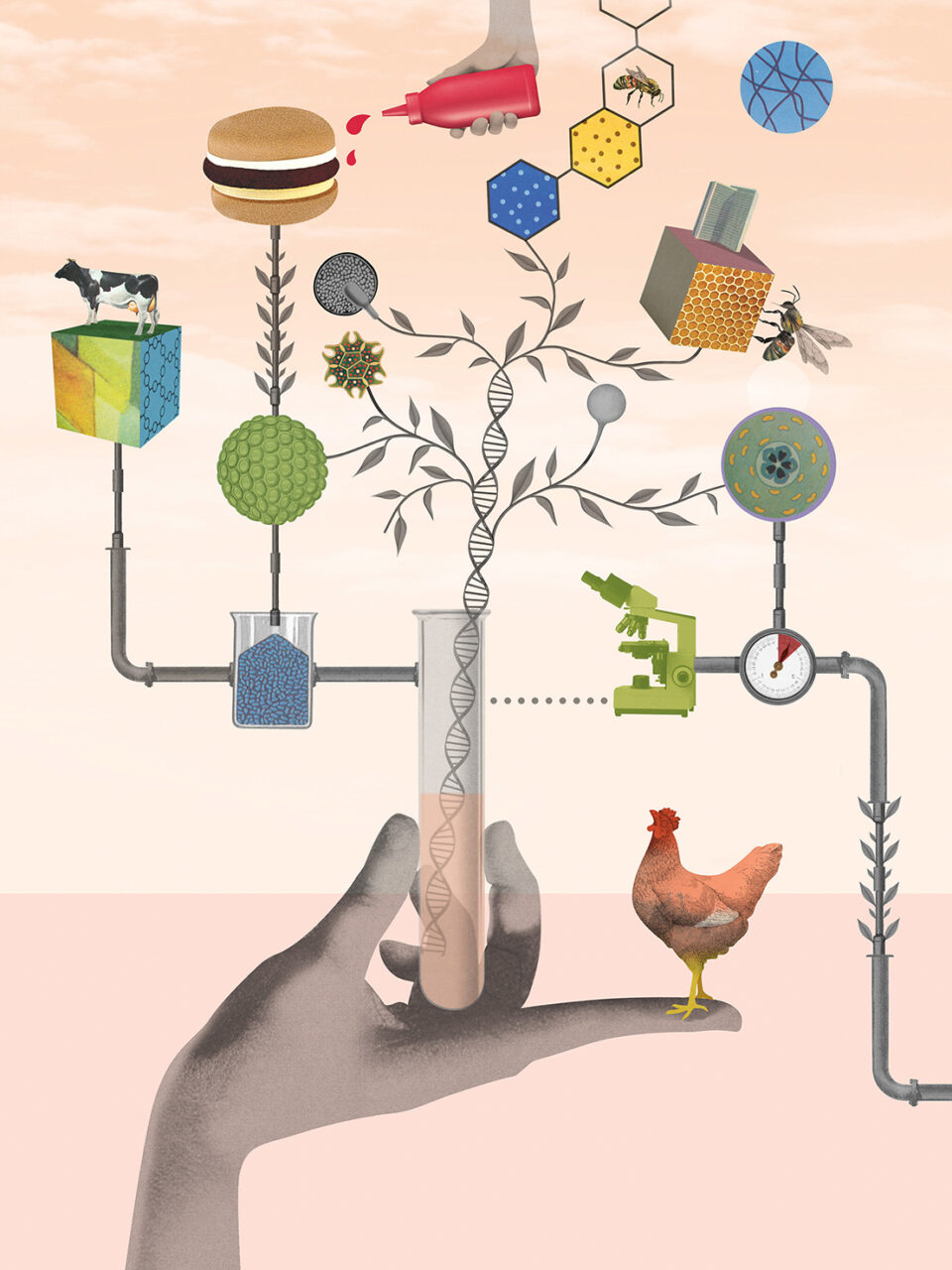 We invented the cow 10,000 years ago. Lab-grown meat is just the next ...