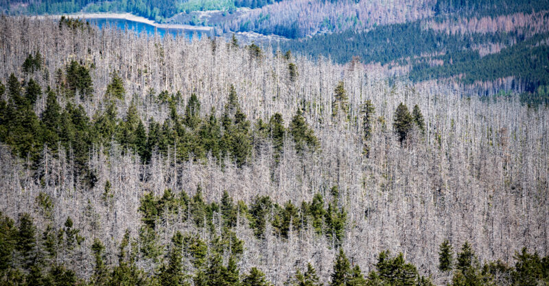 Phil Jones’s Diary: Climate change up close, the nightmares of history ...