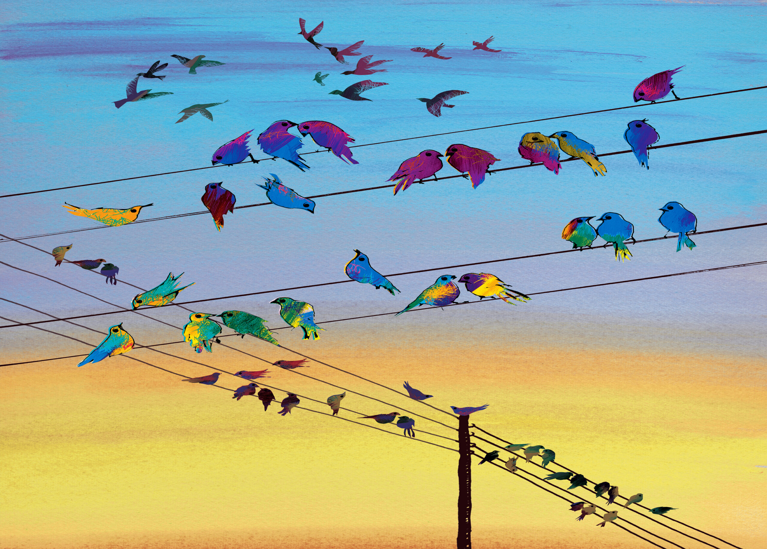 Social Media - New Statesman