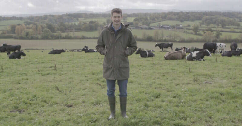 “On supporting farmers, McDonald’s sets a high standard” - New Statesman