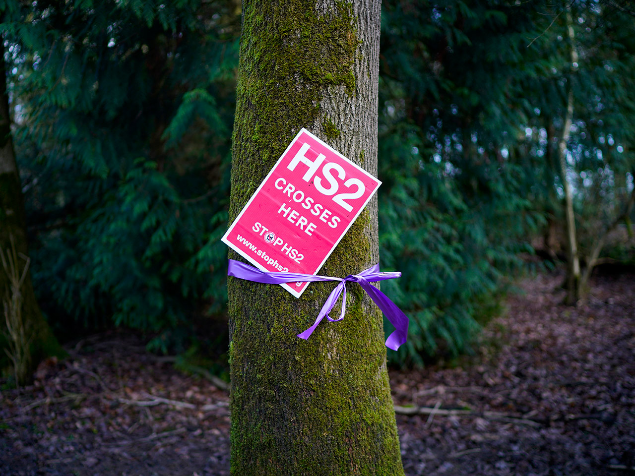 HS2 and the moral problem of Nimbyism - New Statesman