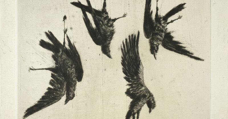 I closed my Twitter account. So now what? - New Statesman