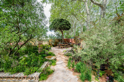 Chelsea Flower Show's truly unforgettable garden - New Statesman