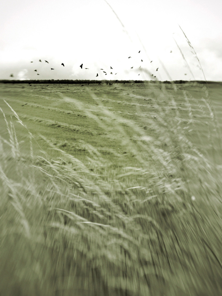 The NS Poem: Ah well… - New Statesman