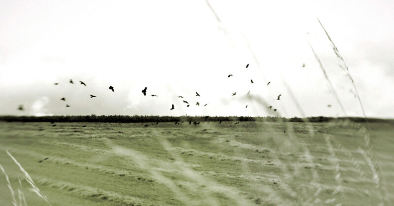 The NS Poem: Ah well… - New Statesman