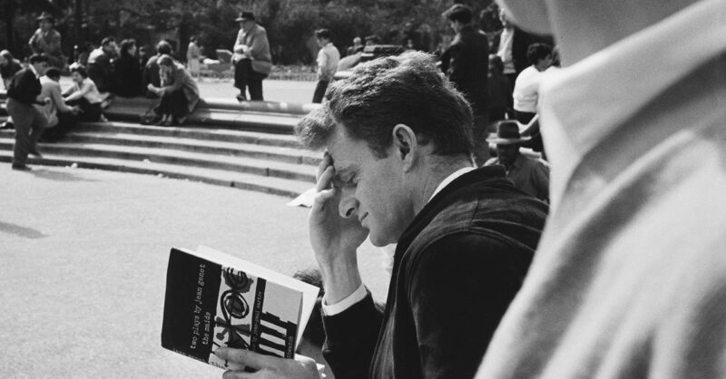 Subscriber of the week: Verity Howorth - New Statesman