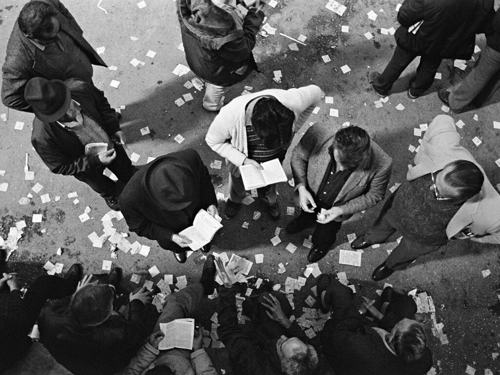 Subscriber of the week: Emily Pringle - New Statesman