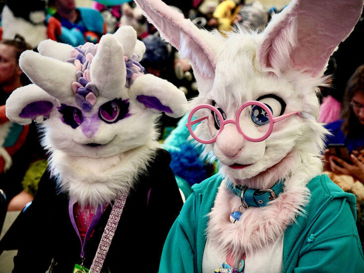 Inside the strange story of the Midwest FurFest attack - New Statesman