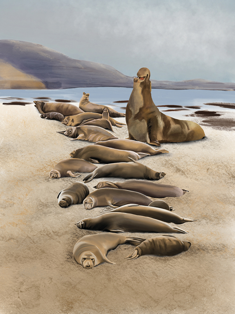 Richard Dawkins, the gene genie - New Statesman