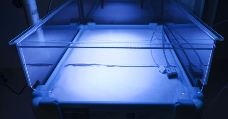 The anger of the Leeds maternity families - New Statesman