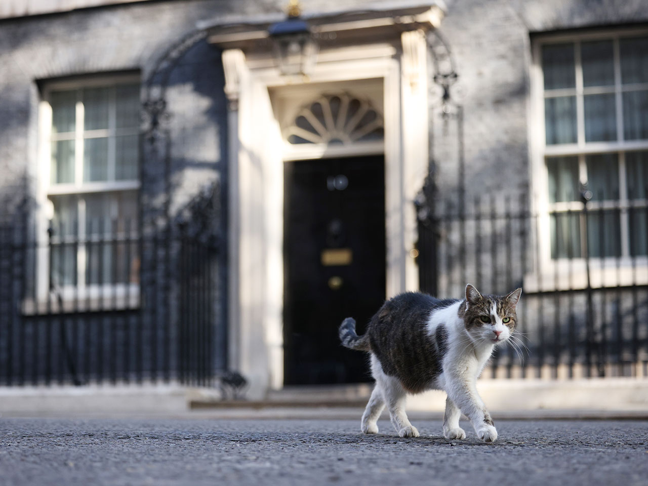 Will Boris Johnson’s £1m donation fund a comeback? - New Statesman