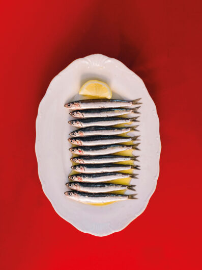 Jane Austen’s subtle food commentary - New Statesman