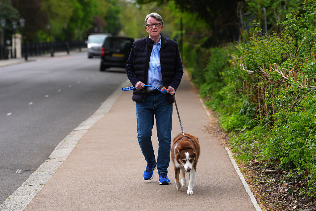 Six things we learned from the Mandelson files - New Statesman